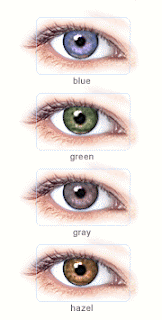 Colored Contacts For Me: Opaque color contact lenses for cosmetic purposes